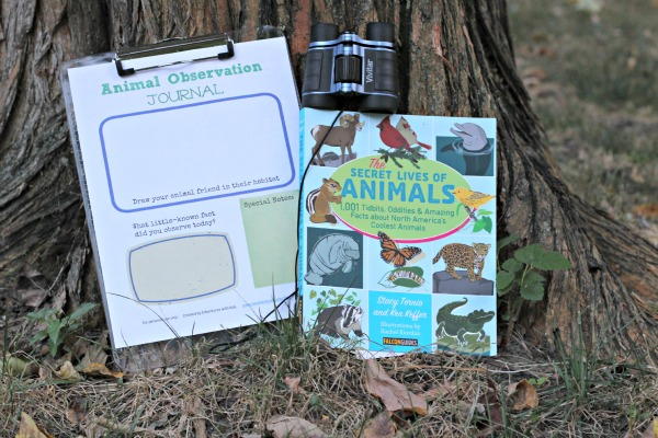 Animal Observation Science Project | AllFreeKidsCrafts.com