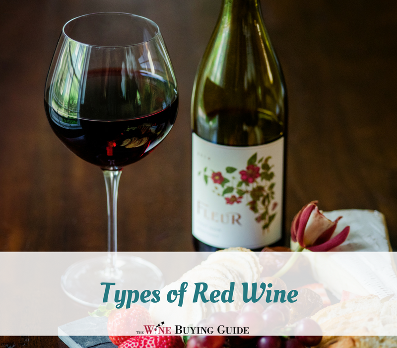 Most popular red wine types - tastebest