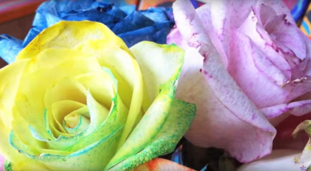 Tie Dye Roses FaveCrafts tie-dye-roses-favecrafts